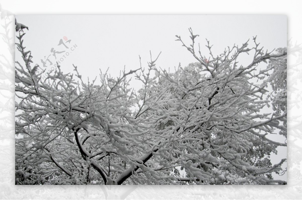 雪景图片素材-编号12092167-图行天下