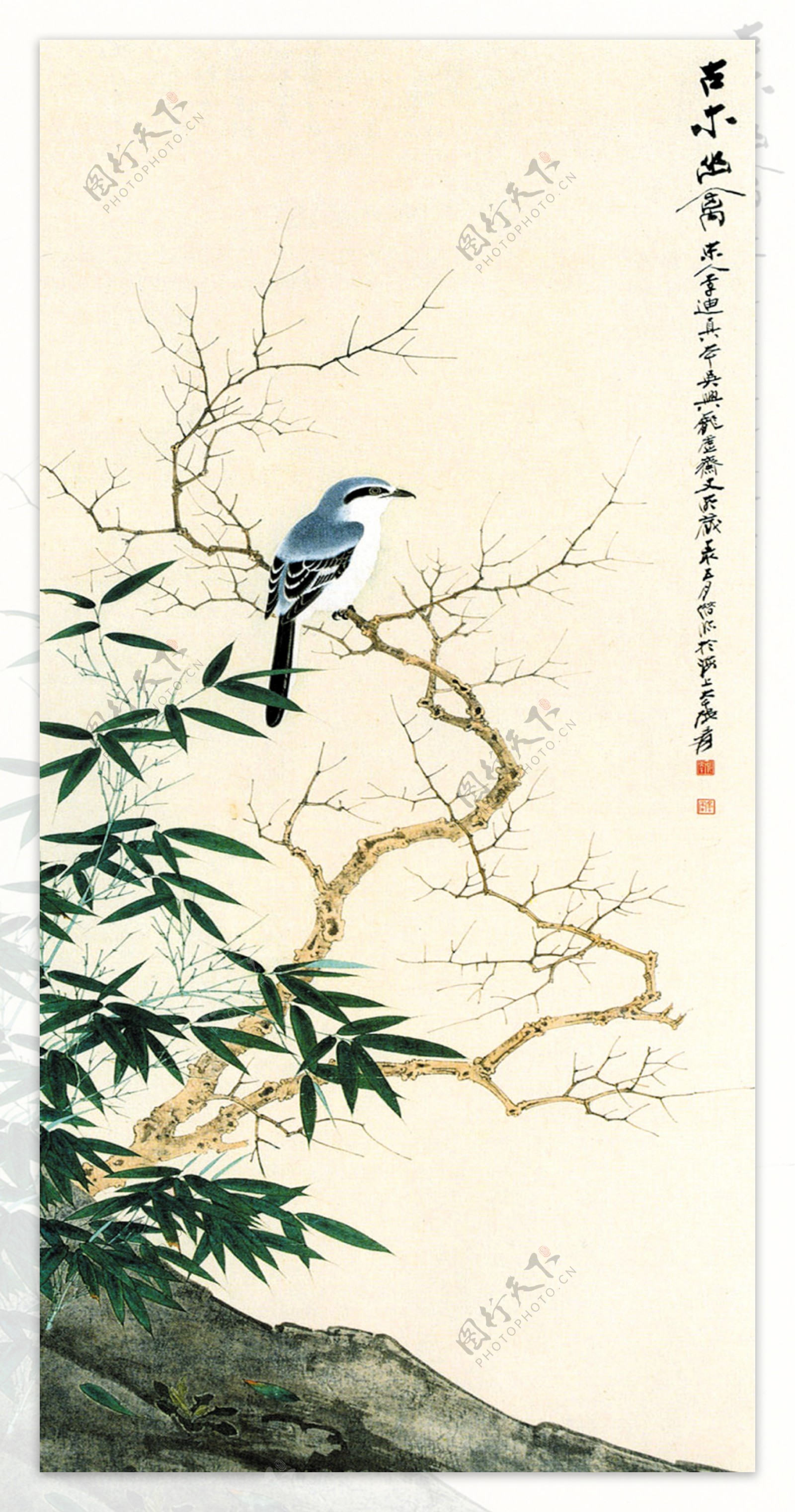 花鸟图片素材-编号12573577-图行天下