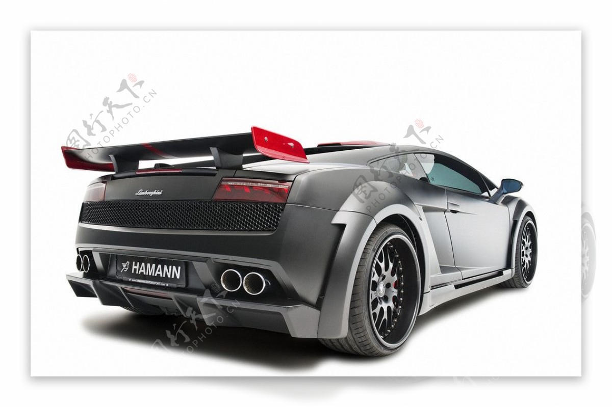 盖拉多图片素材-编号12610157-图行天下