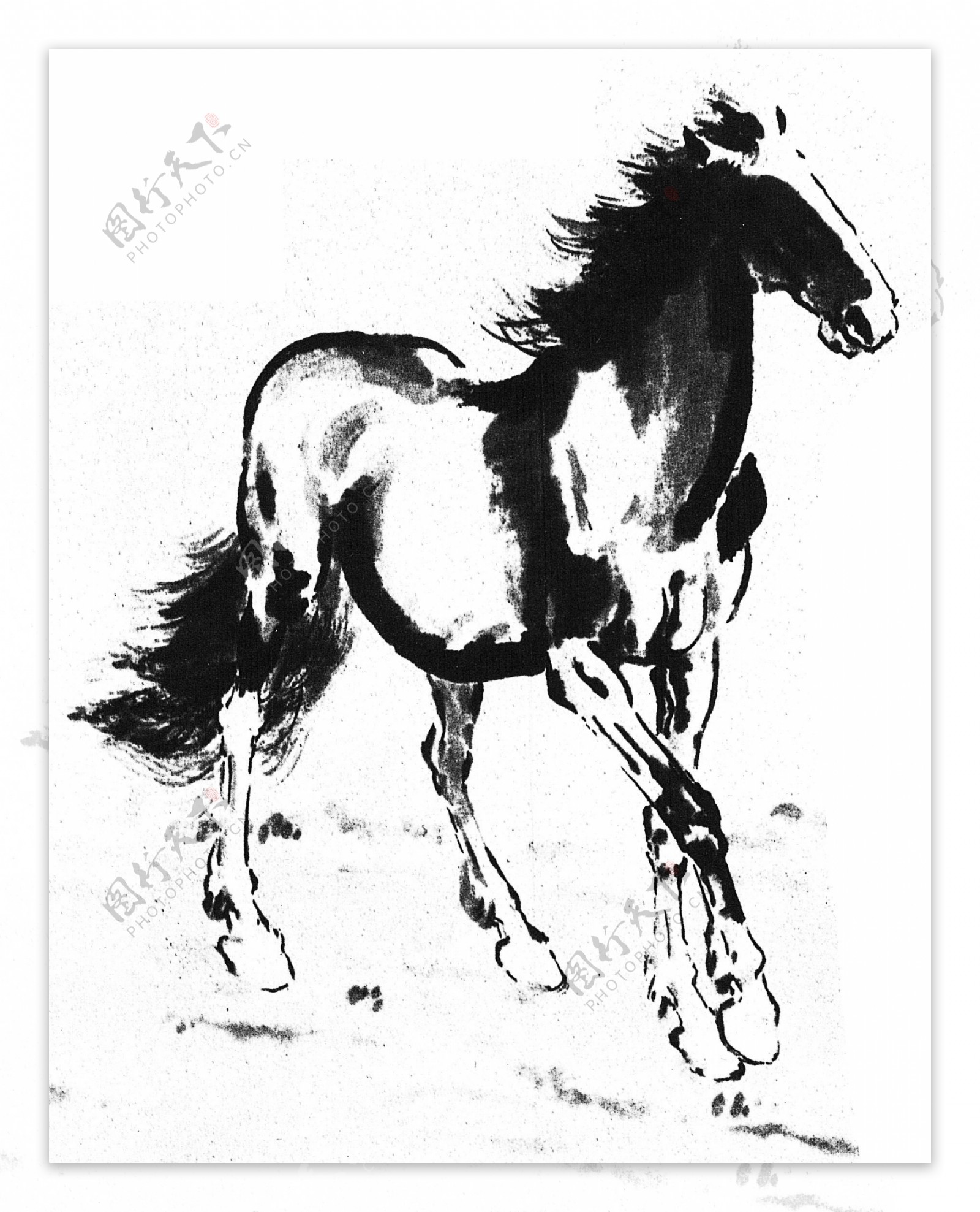 工笔国画马图3图片素材-编号12852847-图行天下