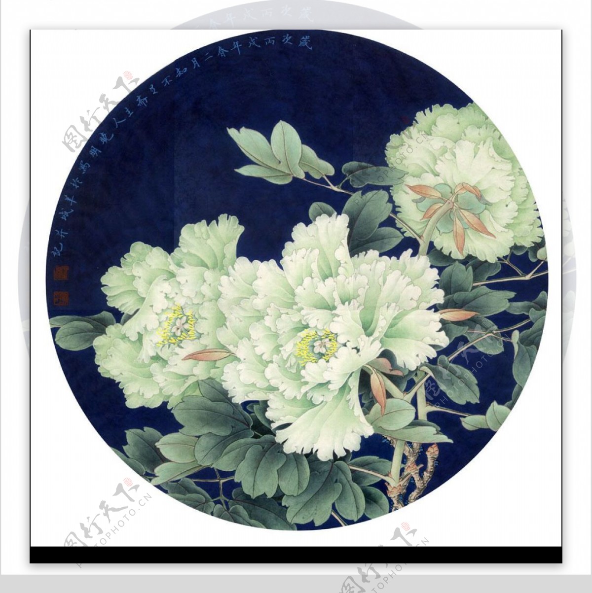 牡丹画图片素材-编号12930097-图行天下