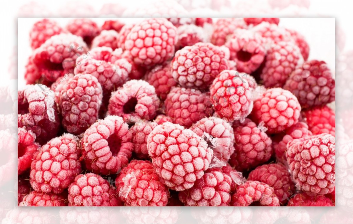 覆盆子图片素材-编号13525237-图行天下