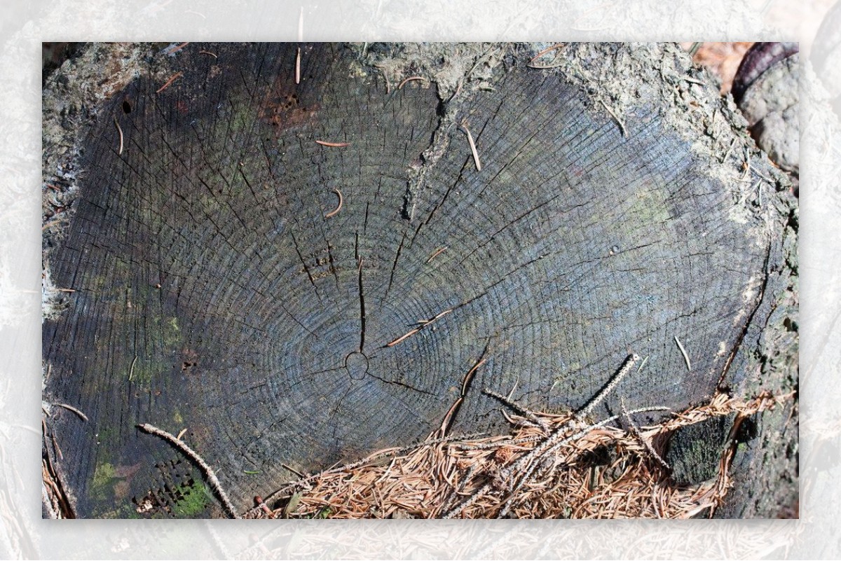 发黑木质图片素材-编号13546507-图行天下