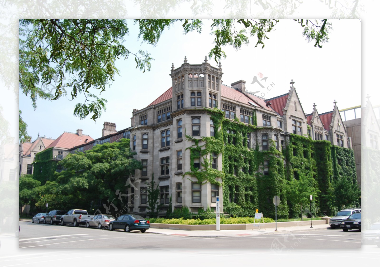 芝加哥大学校舍图片素材-编号14528497-图行天下