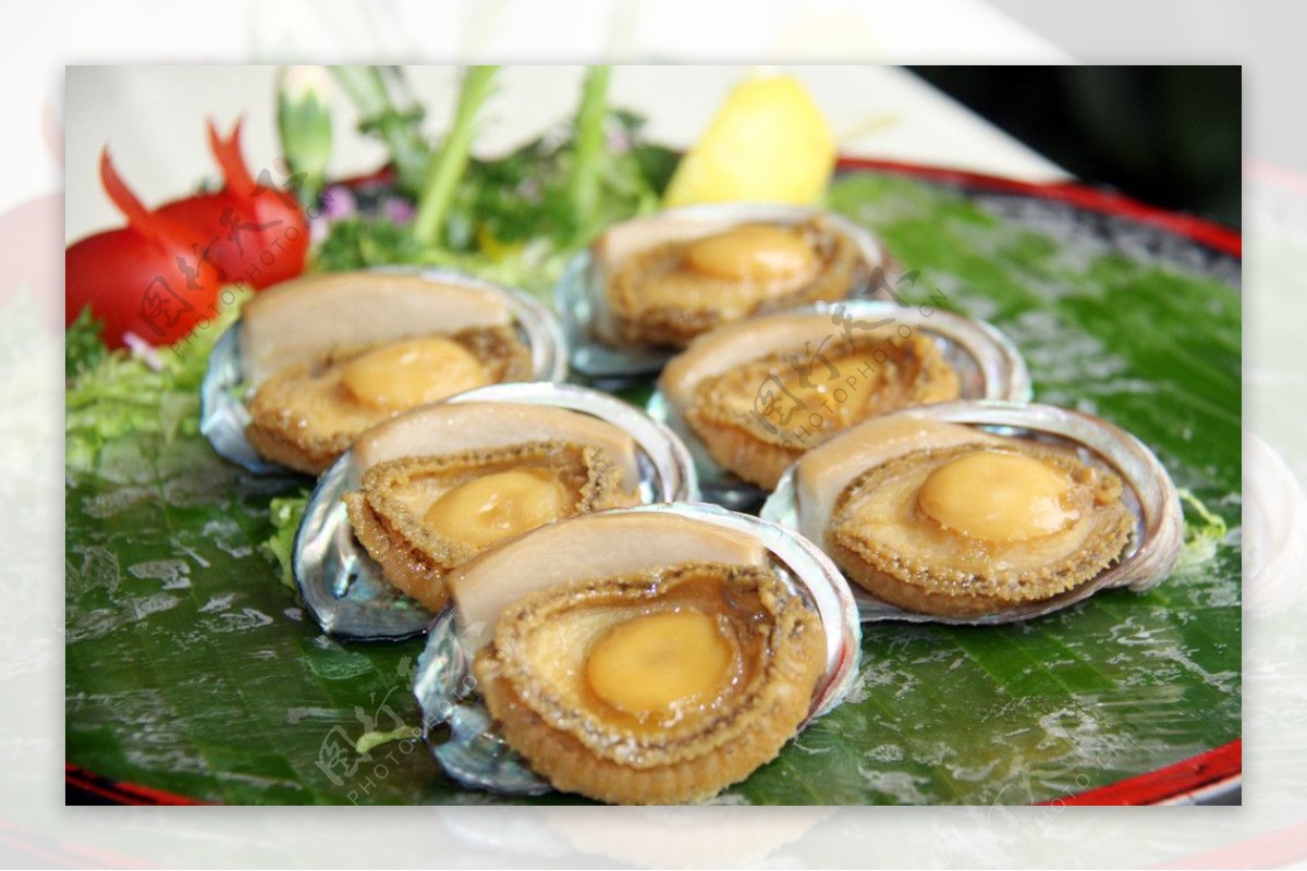 冰镇大连鲍图片素材-编号14575767-图行天下