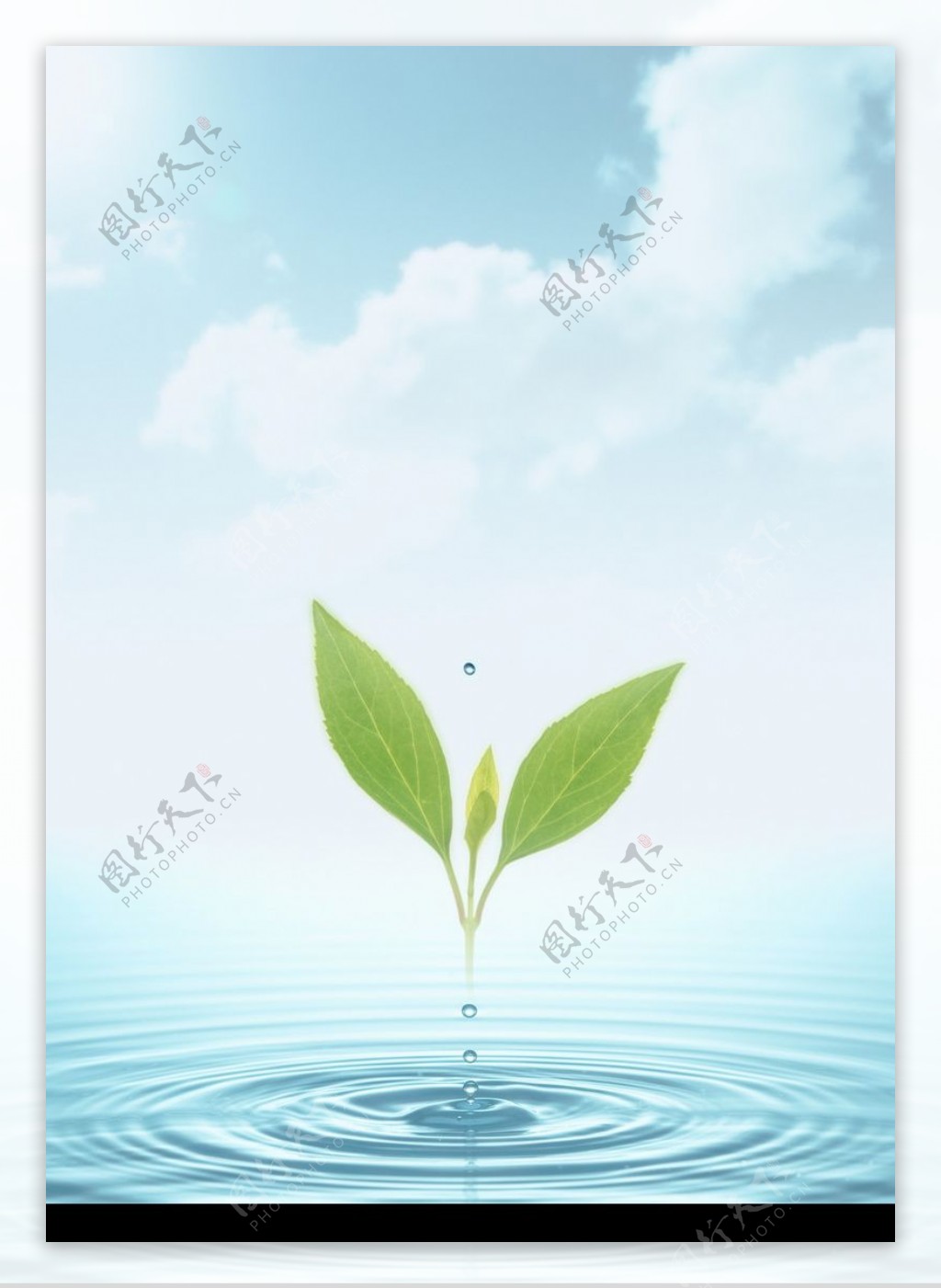 绿色生态环境0139图片素材-编号19985217-图行天下