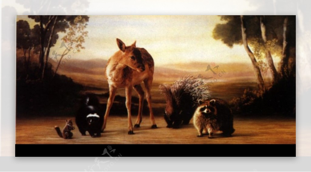 鹿之百态0038图片素材-编号20197547-图行天下