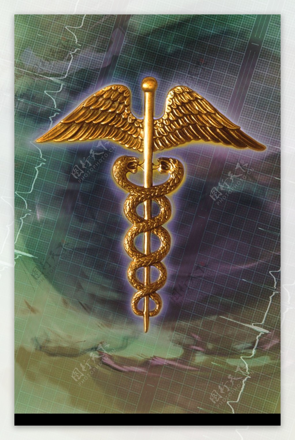 医学透视0082图片素材-编号20250407-图行天下