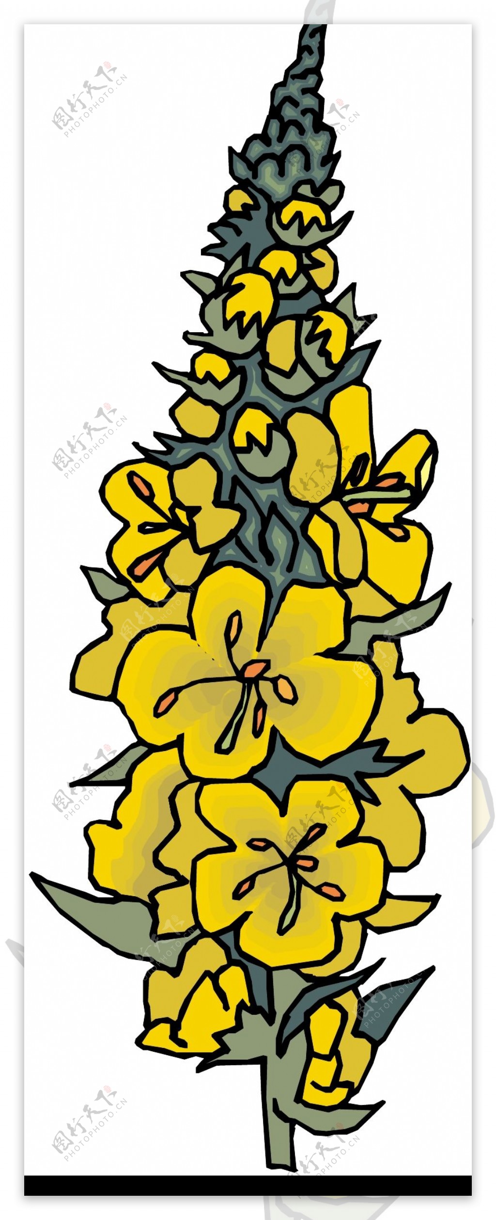 鲜花0608图片素材-编号20535057-图行天下