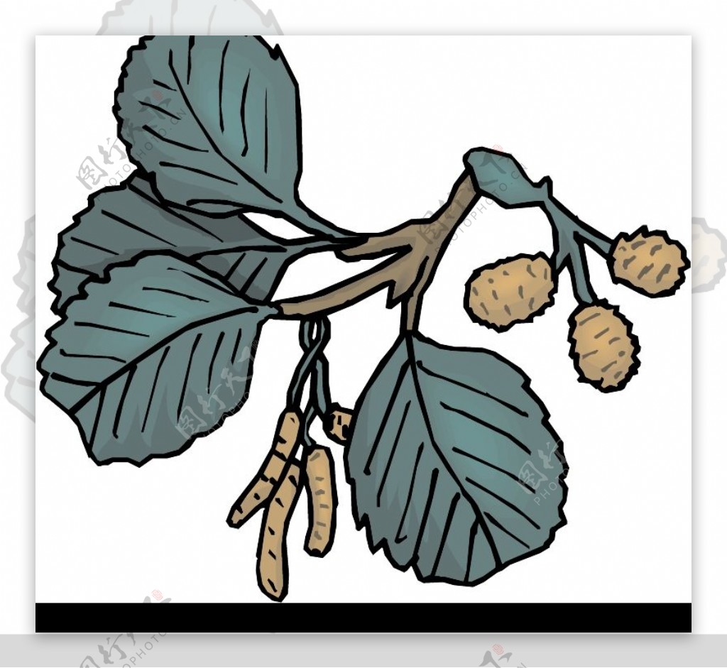 鲜花0717图片素材-编号20536457-图行天下