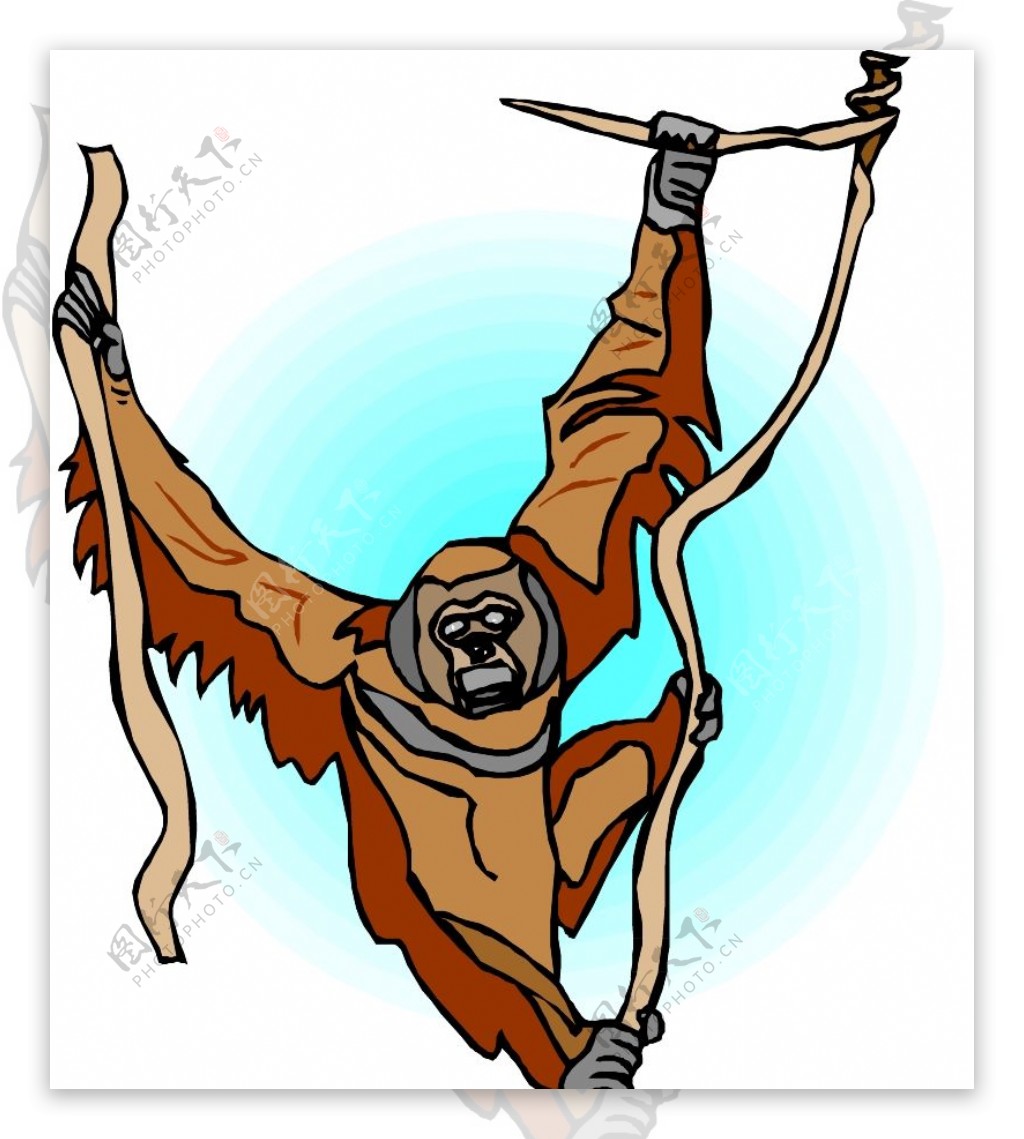 野生动物3859图片素材-编号20657007-图行天下