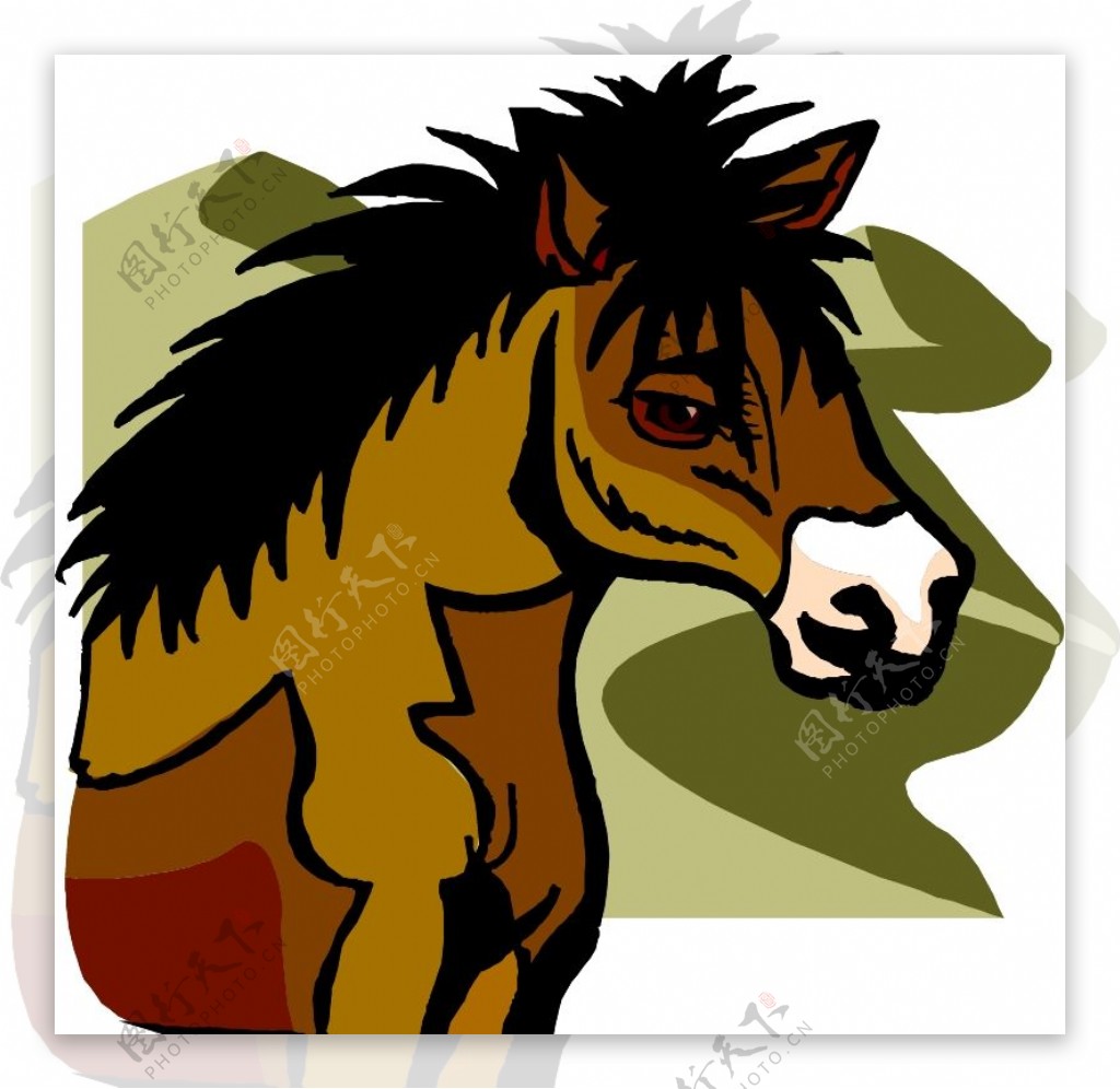 常见动物0337图片素材-编号20679097-图行天下