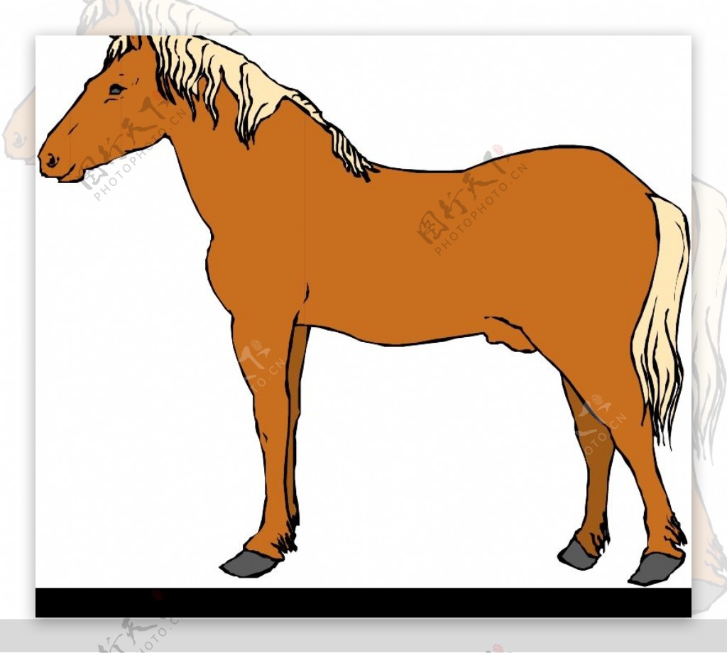 珍稀动物0576图片素材-编号20863537-图行天下