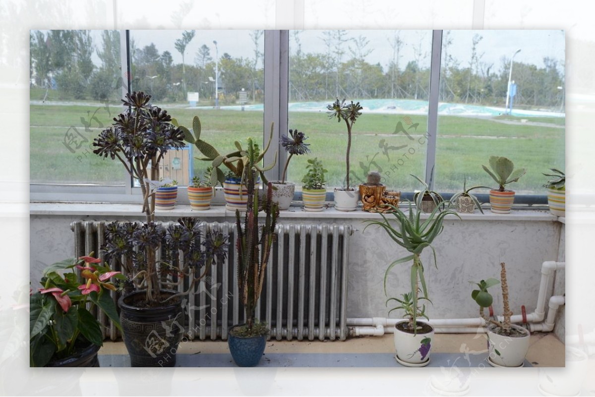 锦州世博园图片素材-编号24007627-图行天下