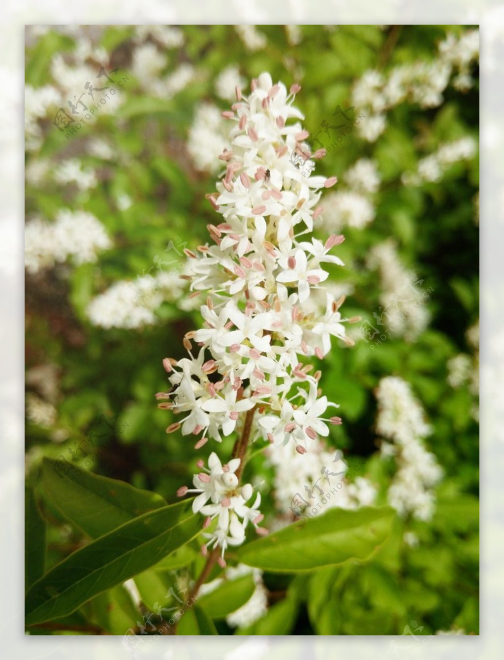 摄影图片素材-编号24059057-图行天下