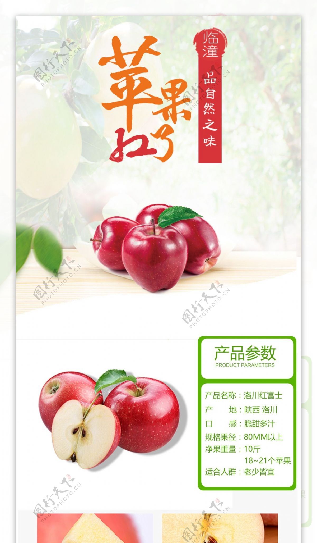 天猫淘宝水果美食苹果详情页psd模板图片素材-编号26051007-图行天下