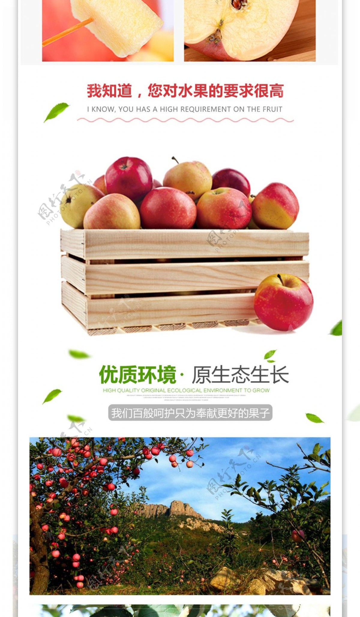 天猫淘宝水果美食苹果详情页psd模板图片素材-编号26051007-图行天下