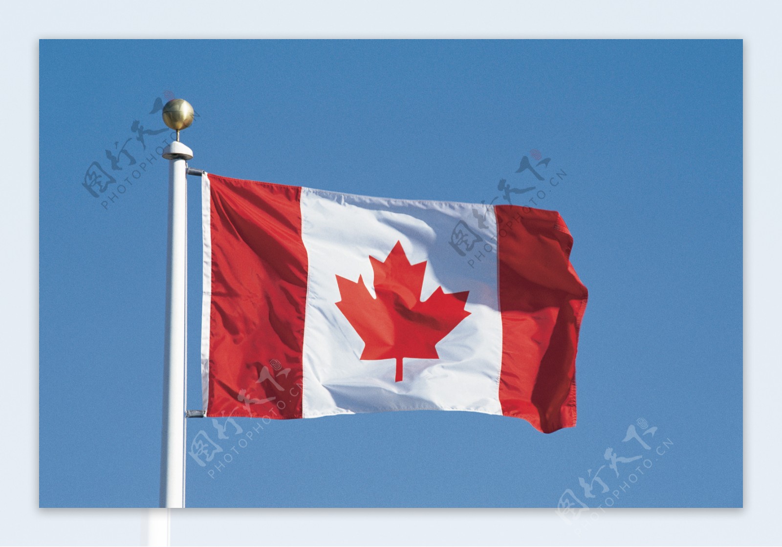 加拿大国旗图片素材-编号26816447-图行天下