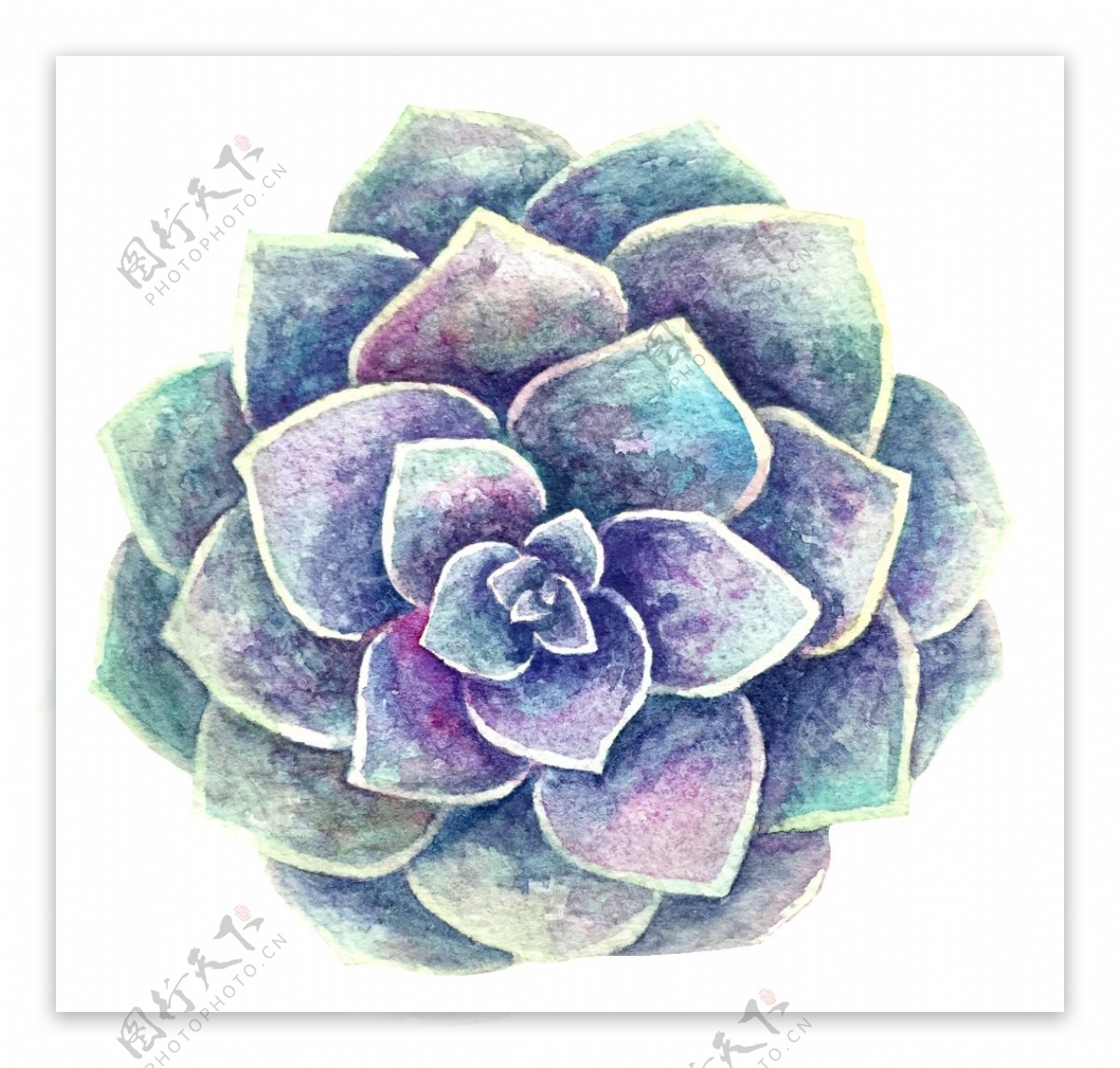 立体多肉植物卡通透明图片素材 编号29196697 图行天下