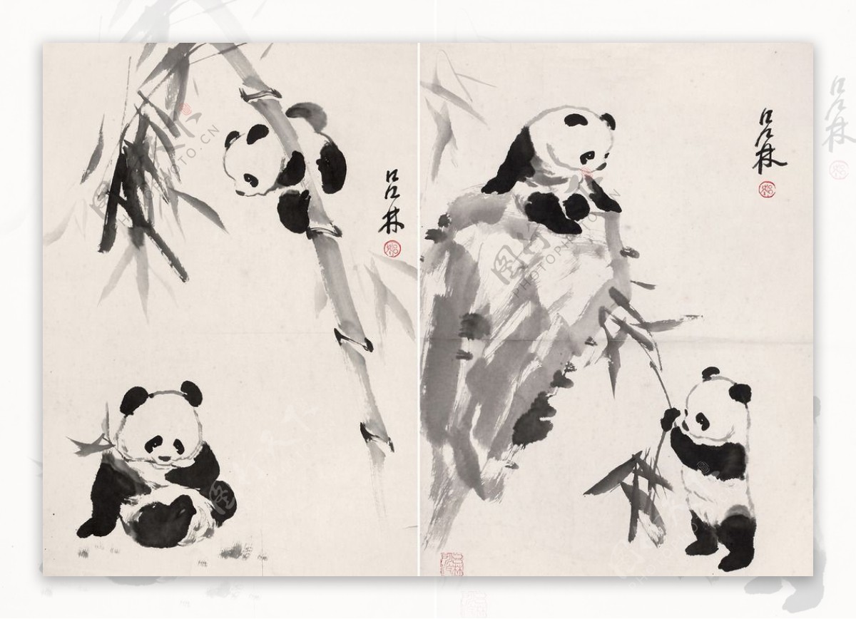 熊猫二帧图片素材-编号30750977-图行天下