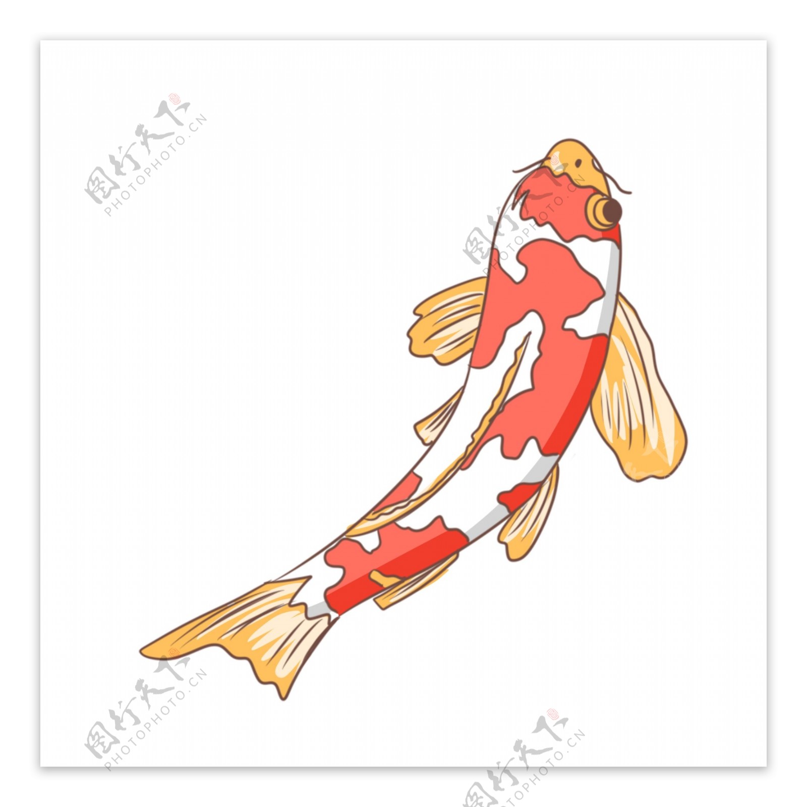 手绘斑点锦鲤插画图片素材-编号31310507-图行天下